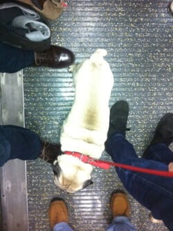 Manolo Is Getting The Tube Watch Those Feet - 10 Magazine