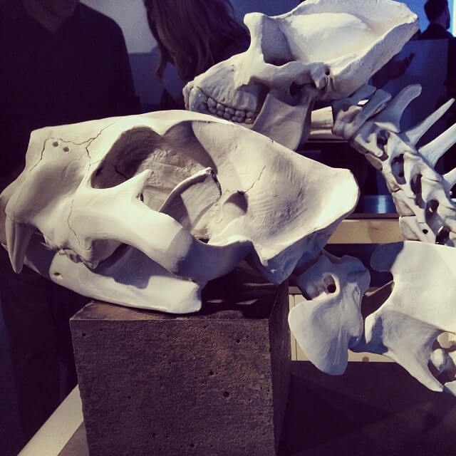 James Webster - 10 Magazine